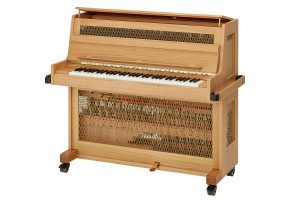 Celesta – Instrument, History, Sound & More (2020) | Schiedmayer ...