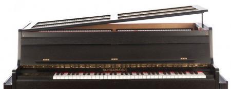 Celesta – Instrument, History, Sound & More (2020) | Schiedmayer ...